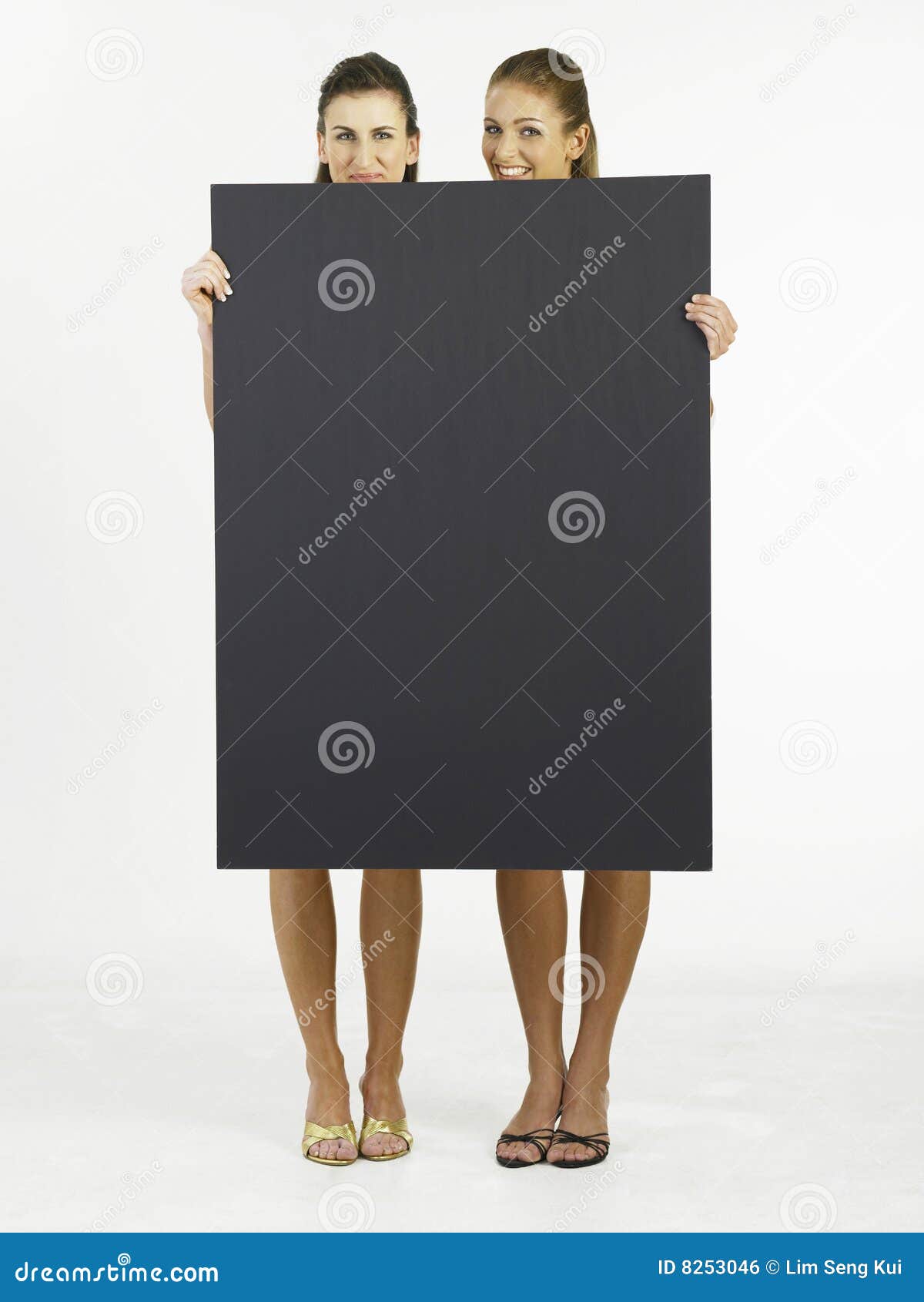 Two woman holding card stock photo. Image of isolated - 8253046
