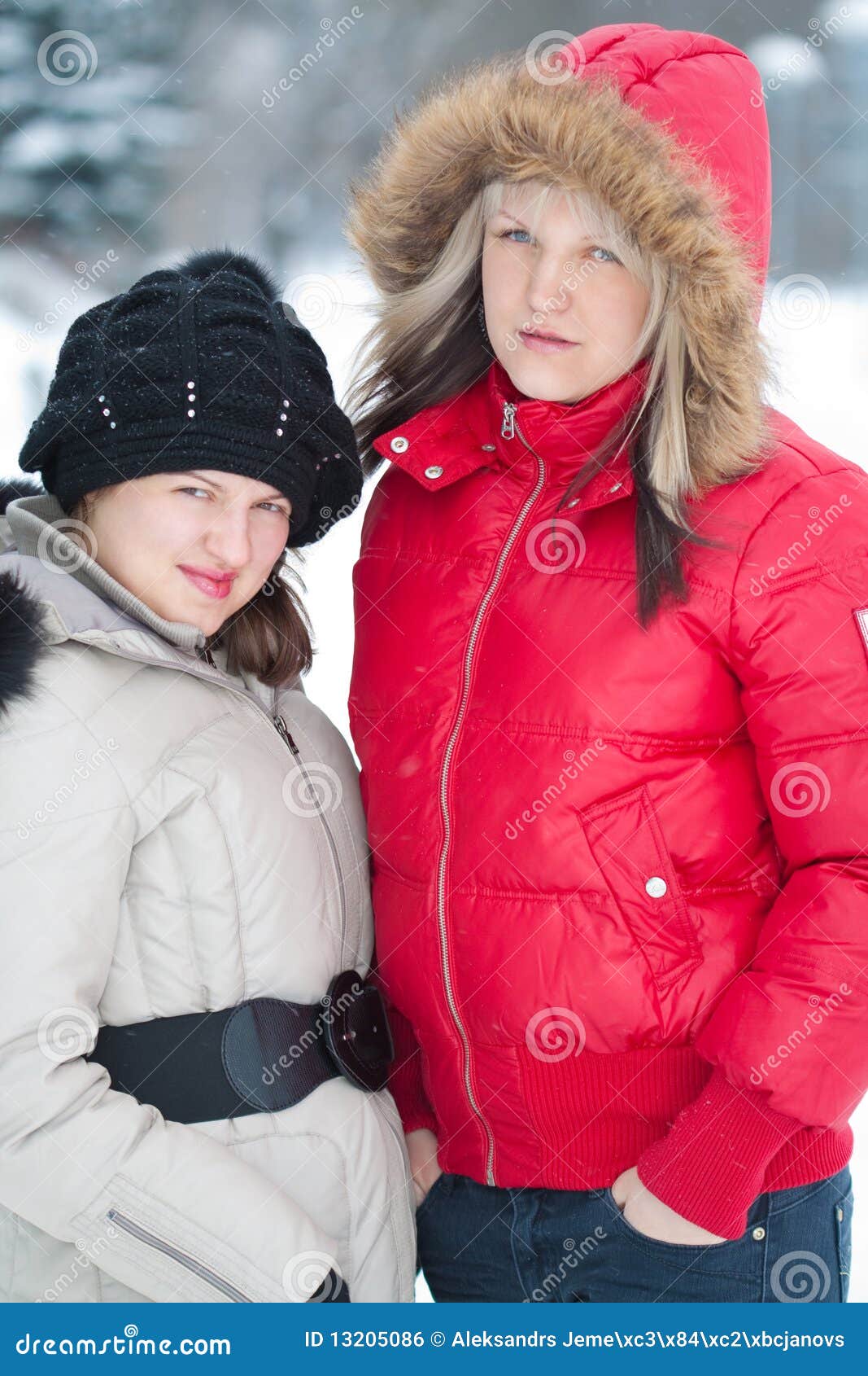 Two woman portrait stock photo. Image of fashion, cheerful - 13205086
