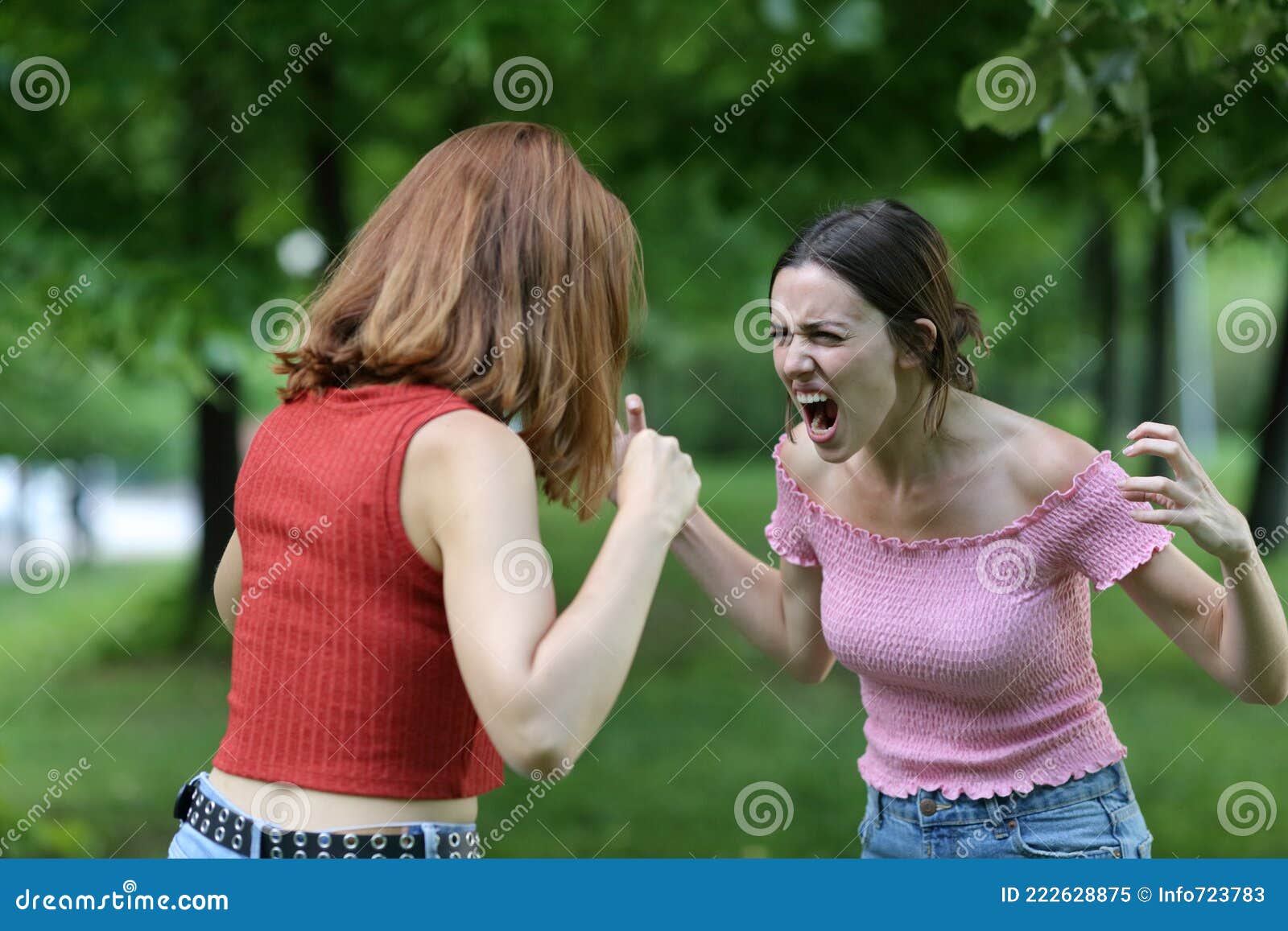 Two Women Arguing Aggressively in a Park Stock Image - Image of campus ...