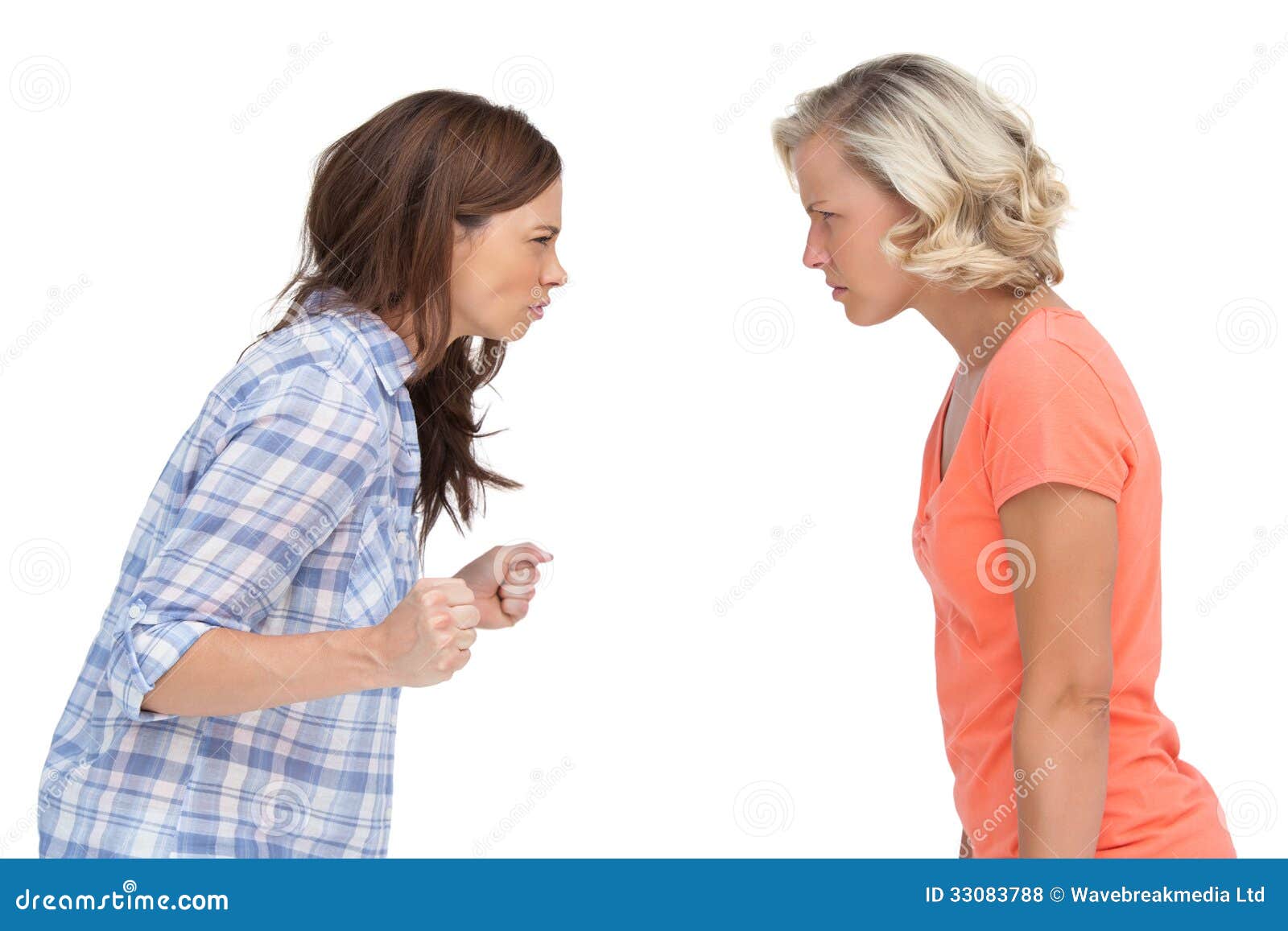 6,514 Two Women Arguing Photos - Free & Royalty-Free Stock Photos from ...