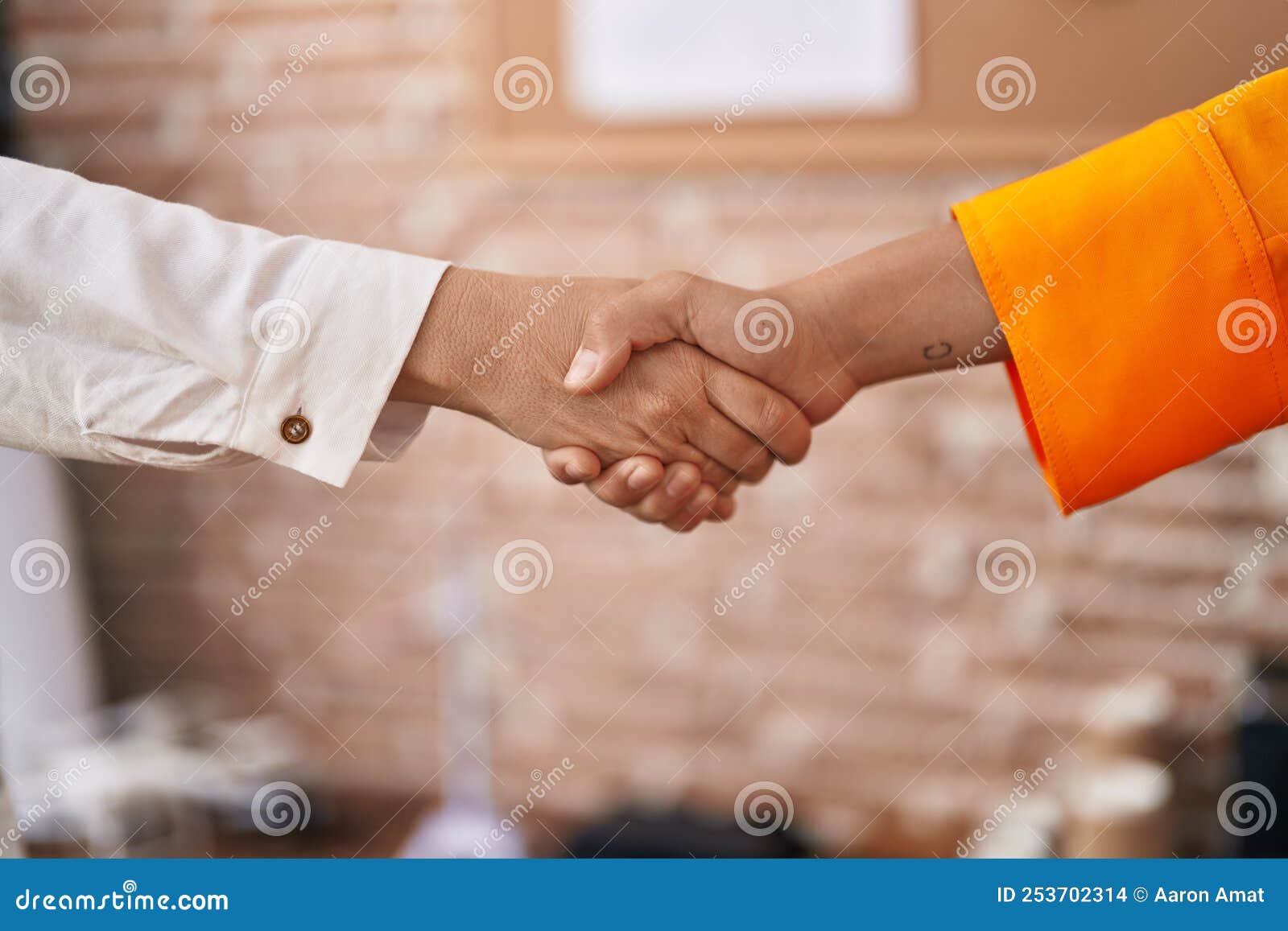 Two Women Business Workers Shake Hands at Office Stock Photo - Image of ...