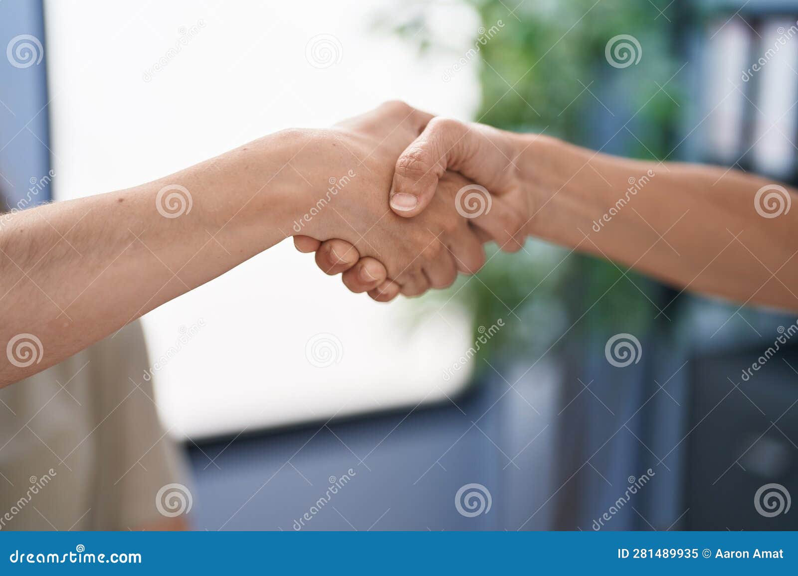 Two Women Business Workers Shake Hands at Office Stock Image - Image of ...