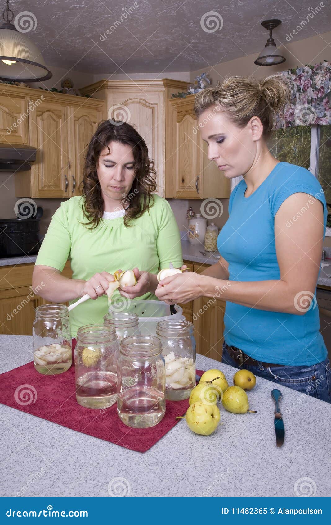 Two women canning stock image. Image of kitchen, preserving - 11482365