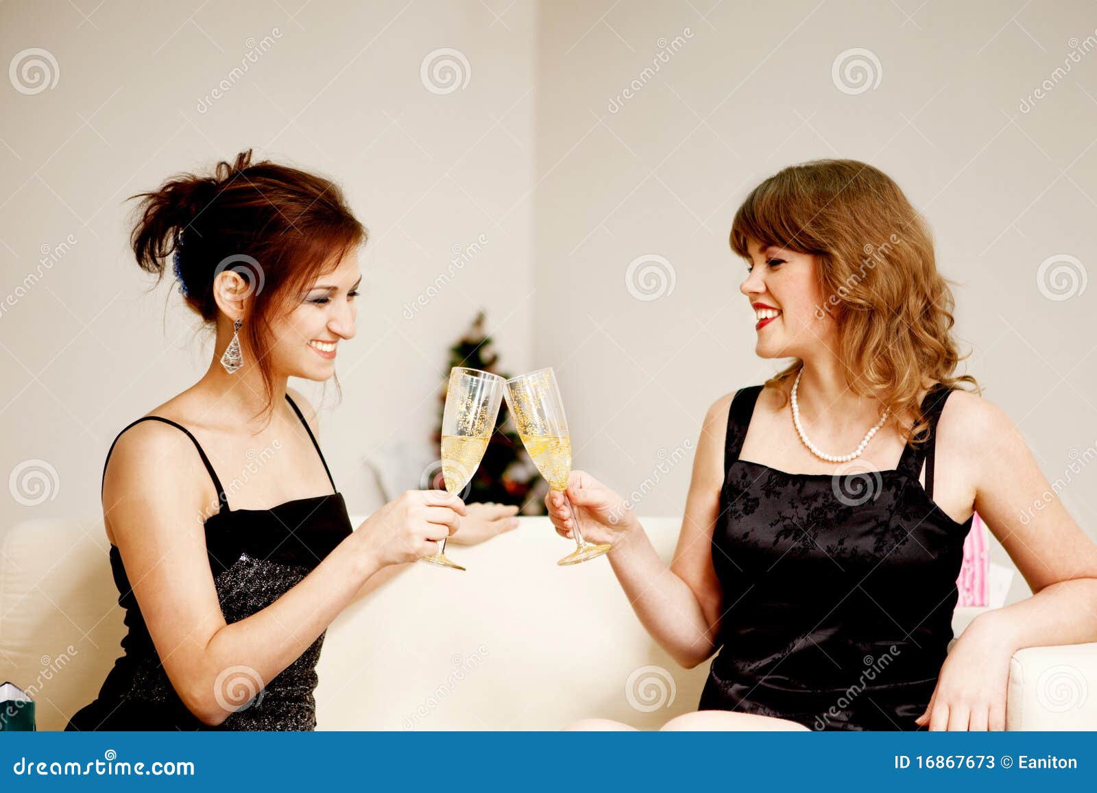 Two Women Celebrate Christmas Stock Image - Image of alcohol, celebrate ...