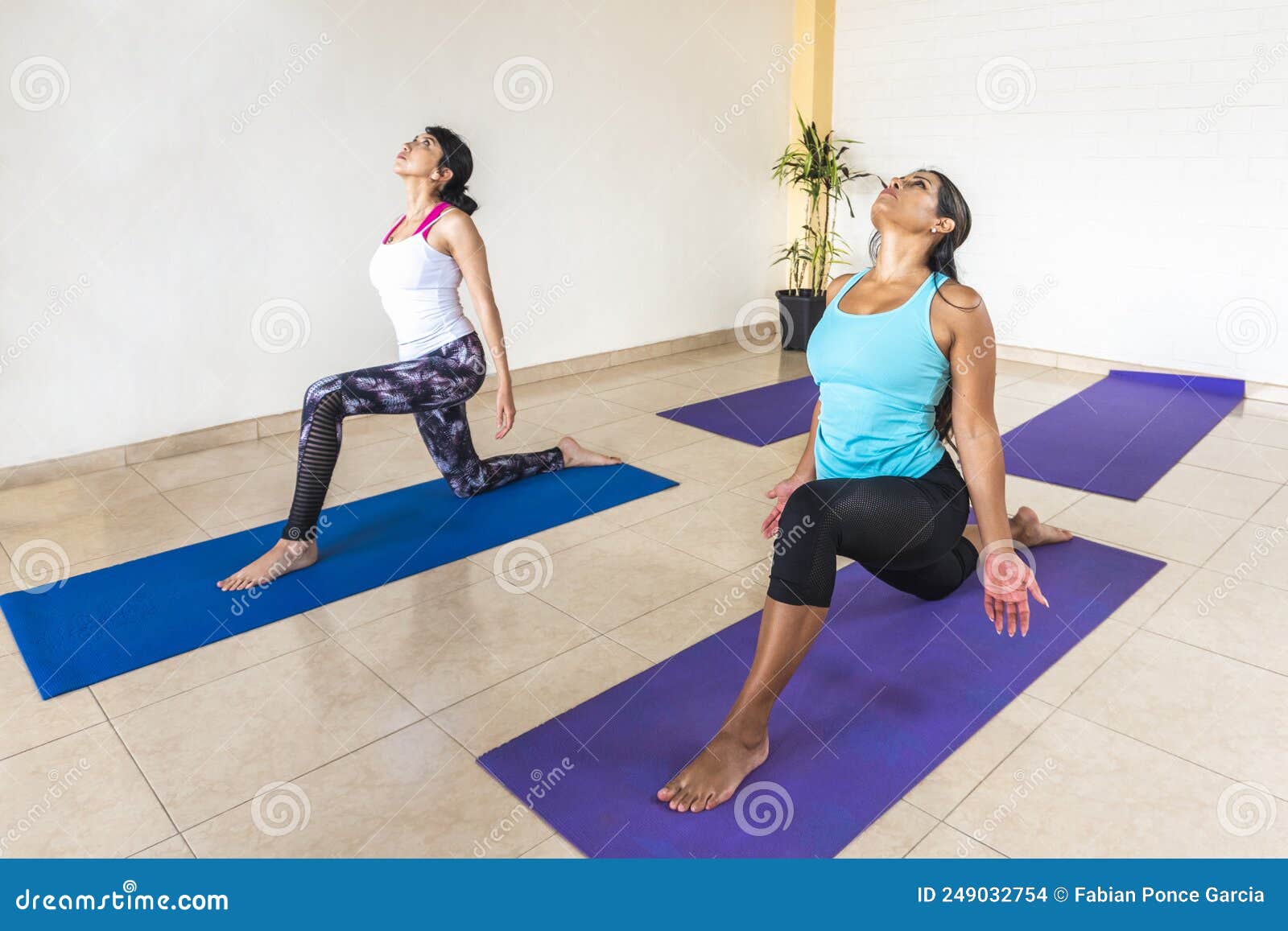 Two Women Doing Low Lunge Yoga Pose Stock Photo - Image of position ...