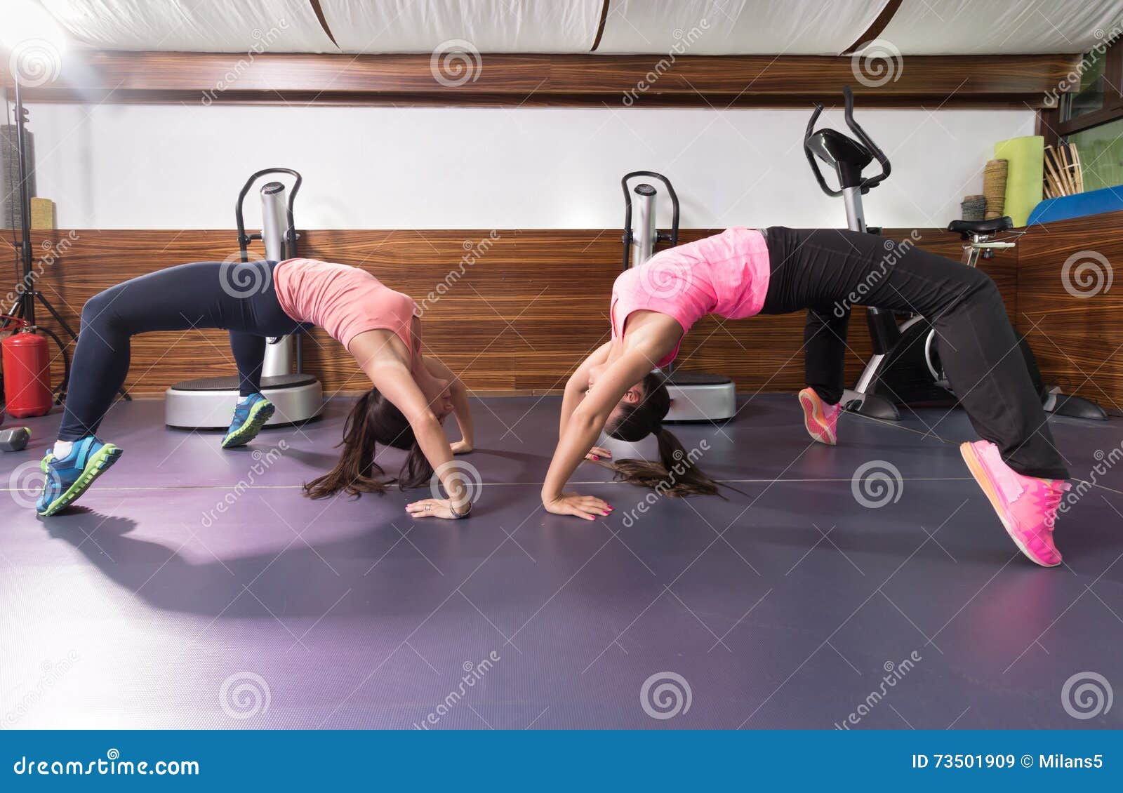 Two Women Exercise Bridge Gym Stock Image - Image of fitness, equipment ...