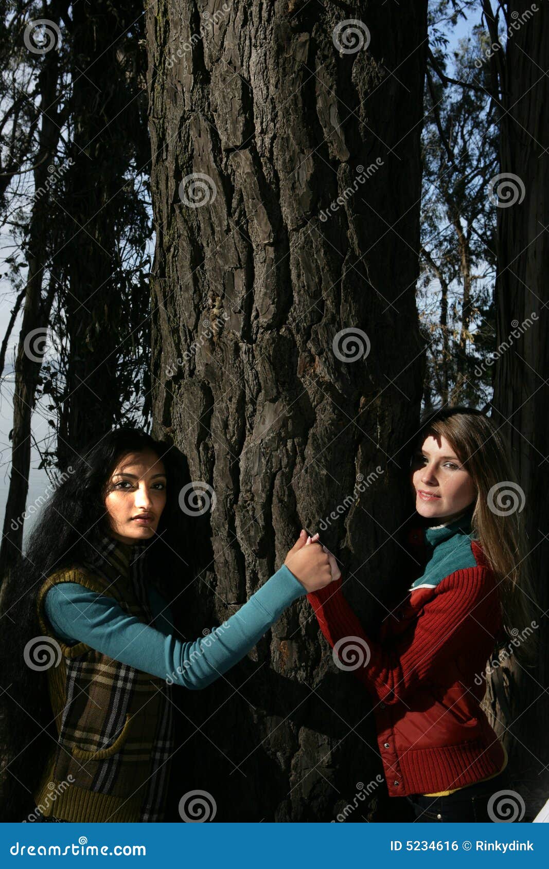 Two women hugging a tree stock photo. Image of adult, hands - 5234616