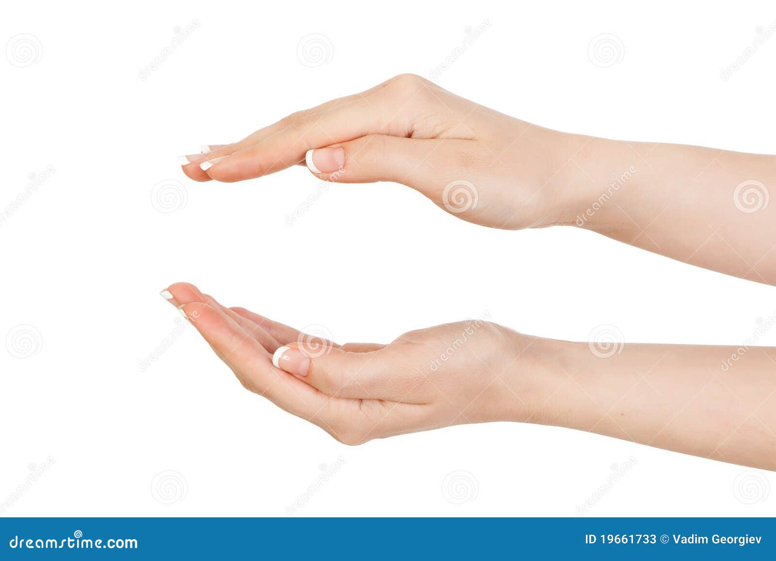 Two women s hands stock image. Image of skin, palm, concepts - 19661733