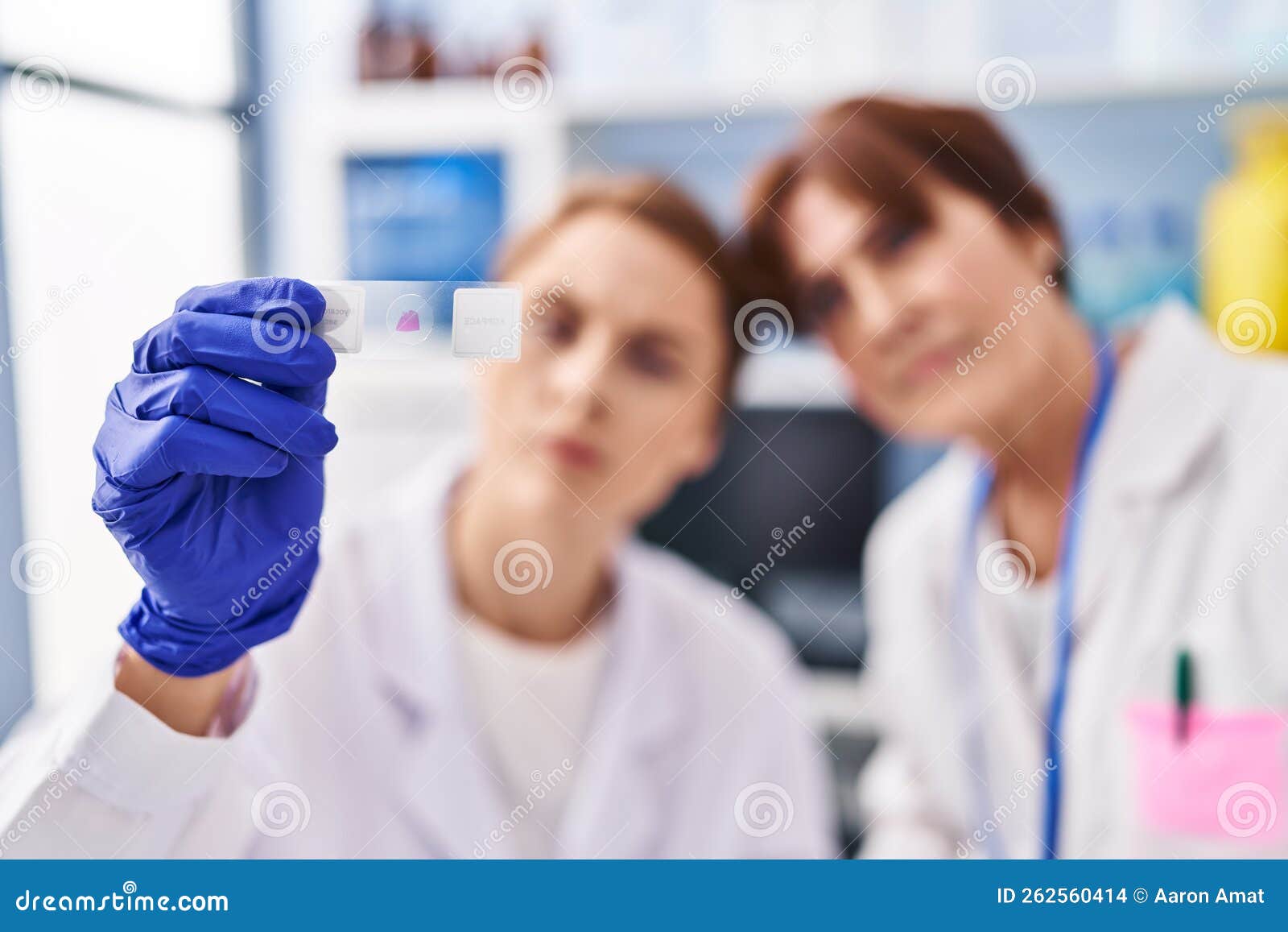 Two Women Scientist Looking Sample at Laboratory Stock Photo - Image of ...