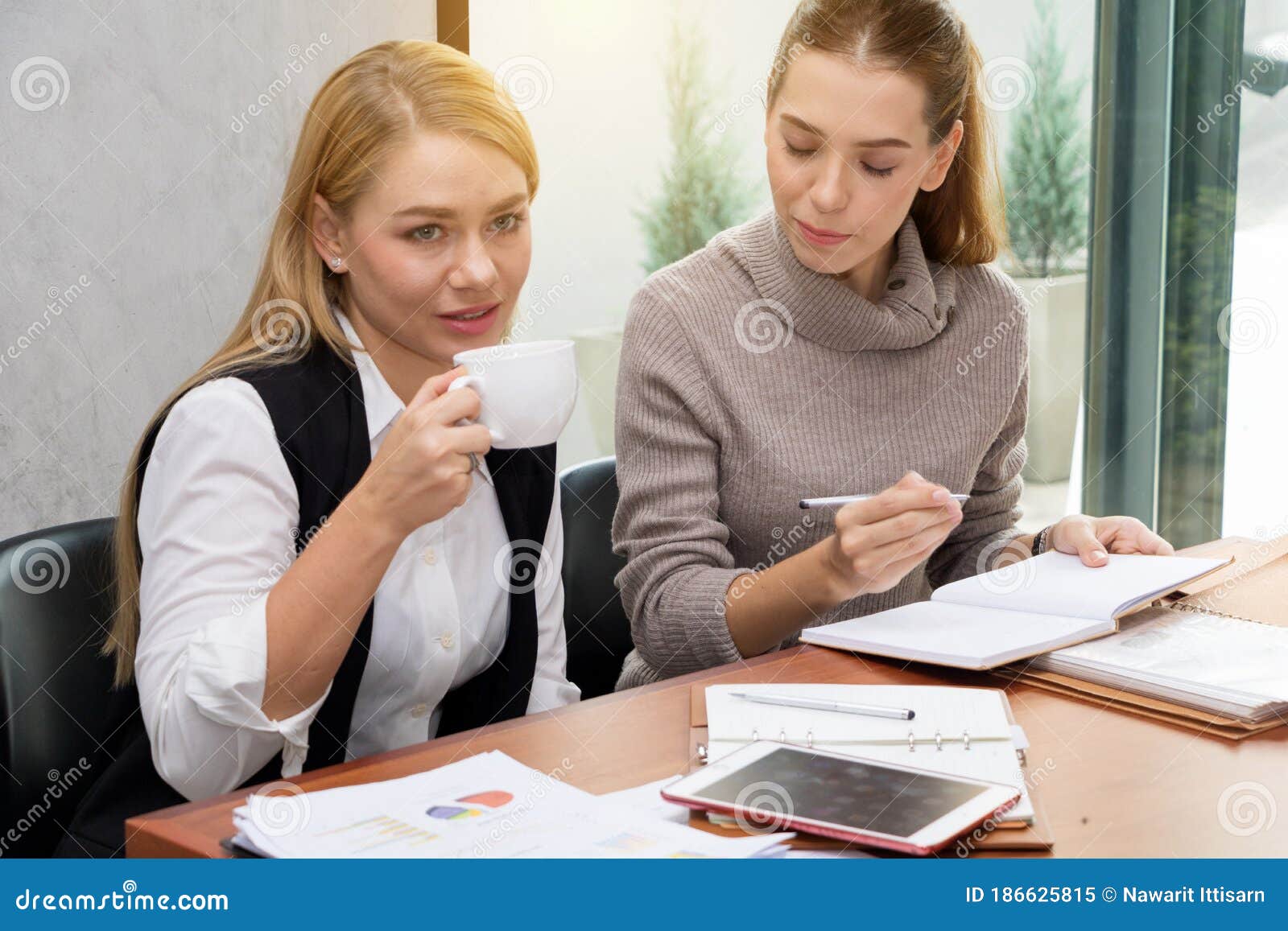 Two Women are Studying and Teaching Stock Image - Image of adult, happy ...