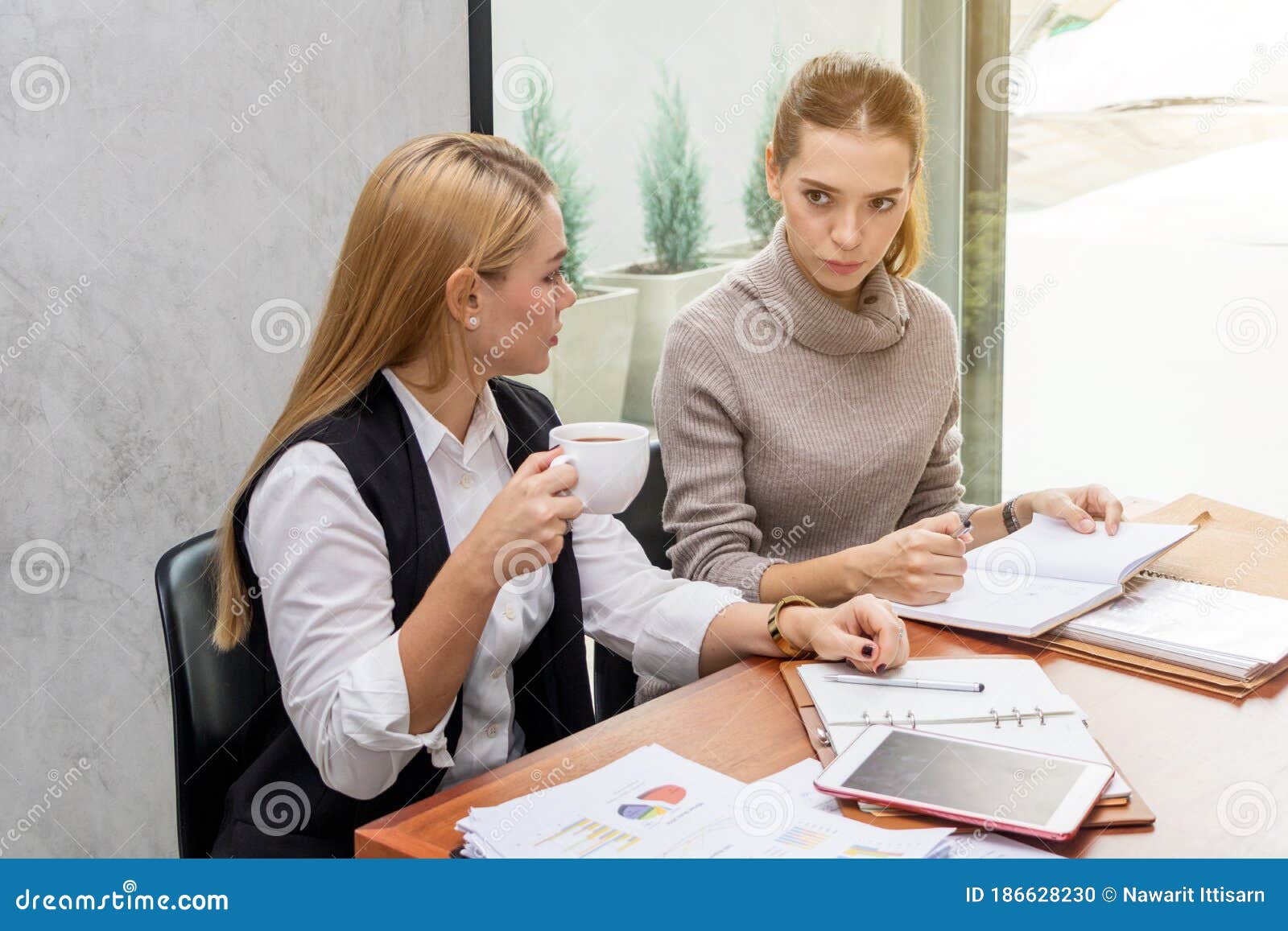 Two Women are Studying and Teaching Stock Photo - Image of book, home ...