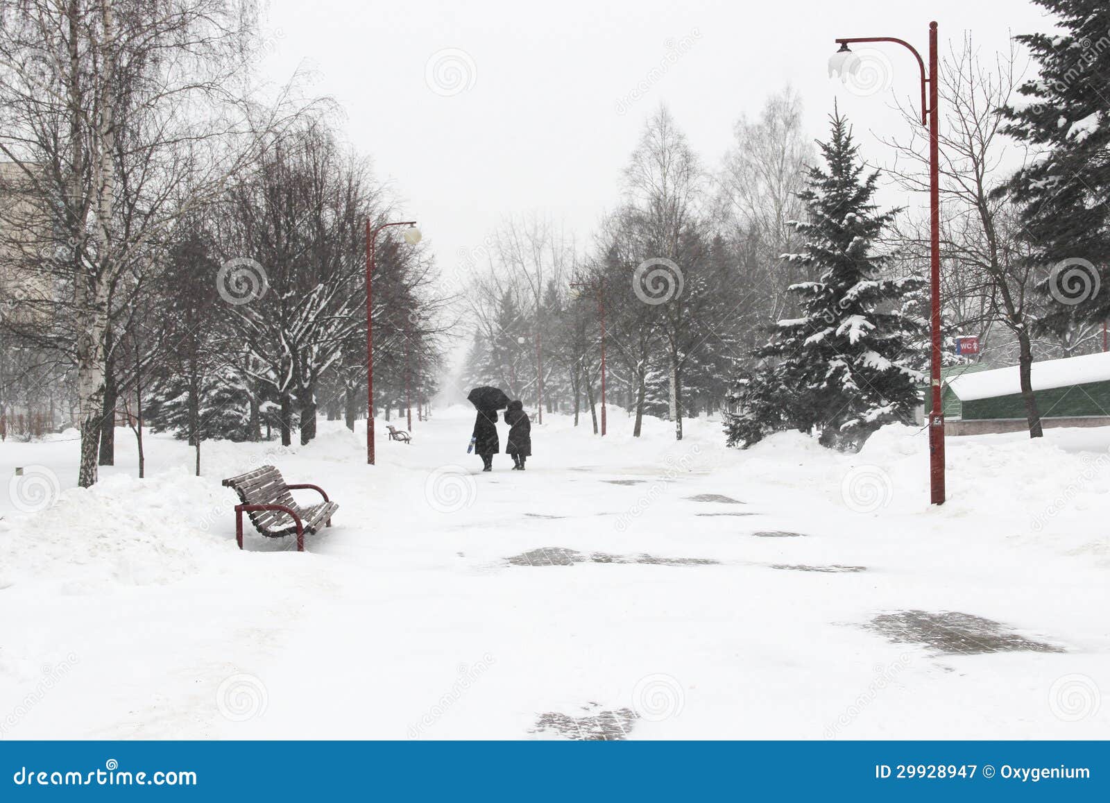 Two Women Walk through Park in Snow Stock Image - Image of ...