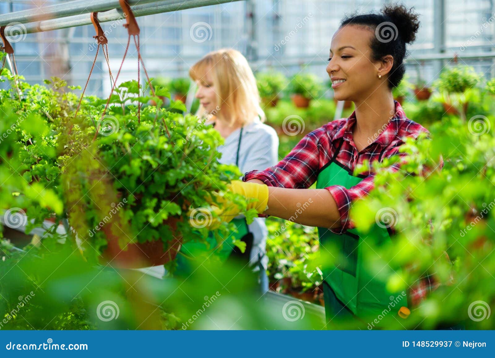 Two Women Working in a Botanical Garden Stock Image - Image of ...