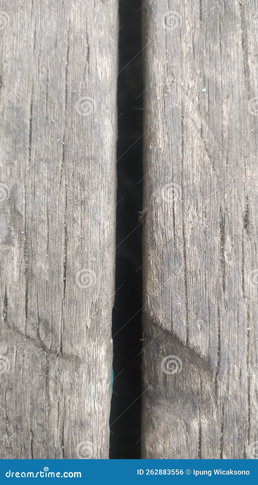 Two wood stripes stock photo. Image of stripes, line - 262883556
