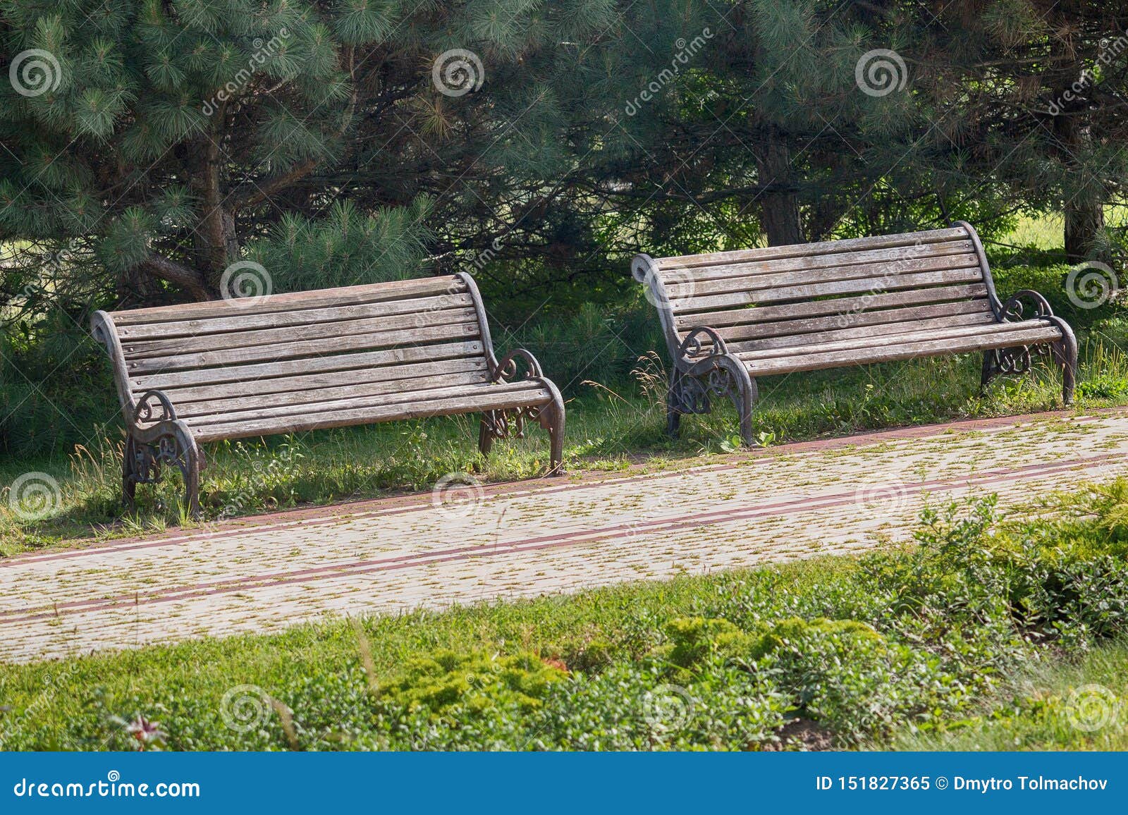 Two Wooden Benches in the Park Stock Image - Image of park, furniture ...
