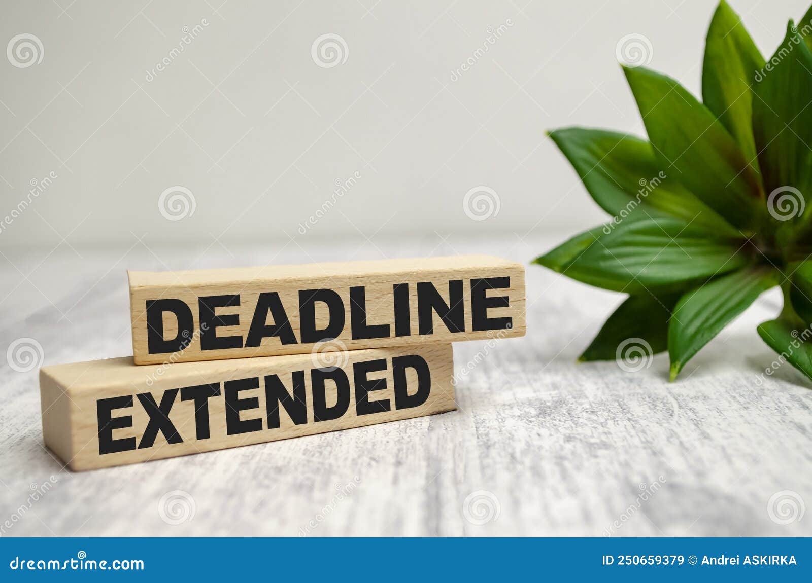 Two Wooden Blocks with the Words DEADLINE EXTENDED Stock Image - Image ...