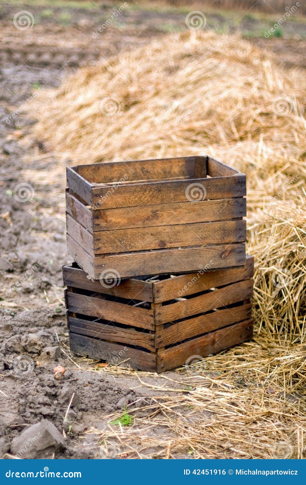 Set Of Empty Boxes At The Supermarket. Paper Empty Boxes. Stock Photo ...