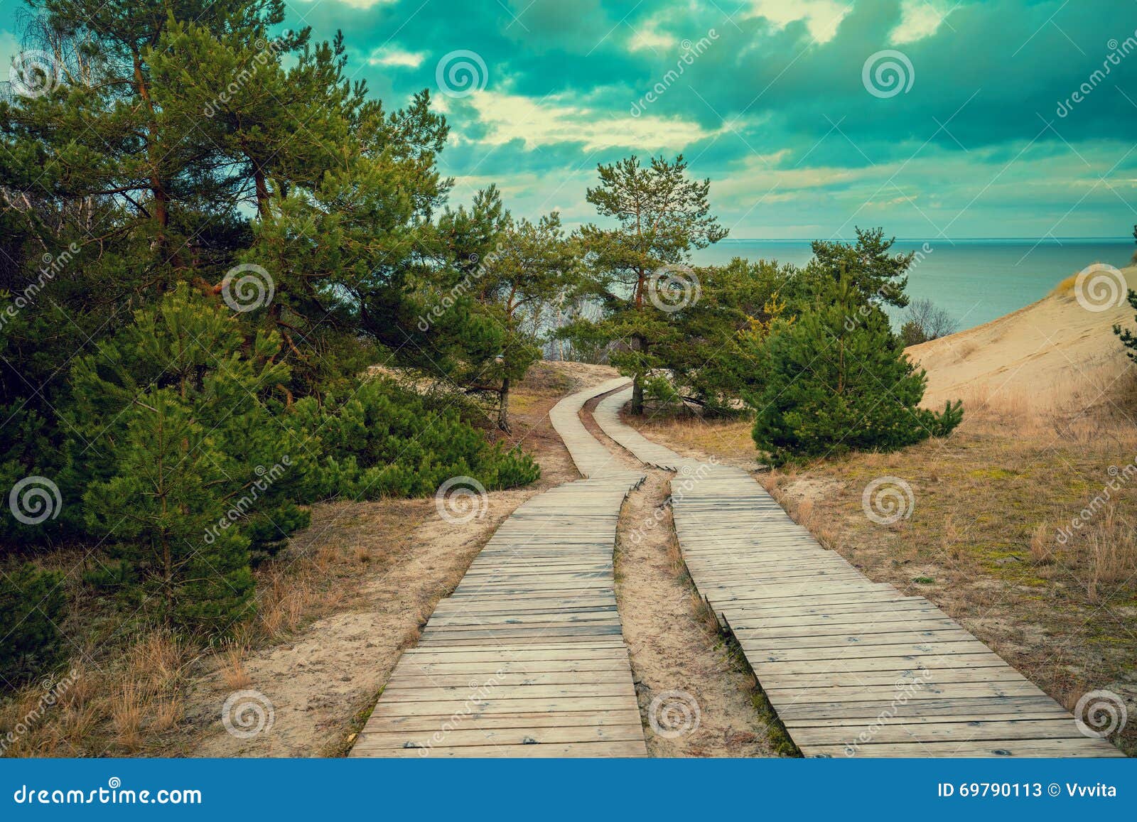 Two Wooden Pathways in Park Stock Image - Image of reserve, autumn ...
