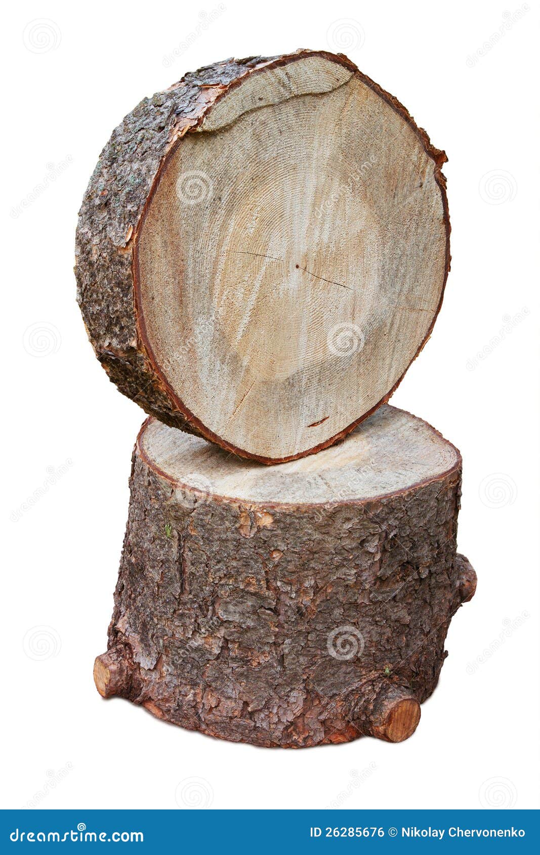 Two wooden stump stock photo. Image of piece, timber - 26285676