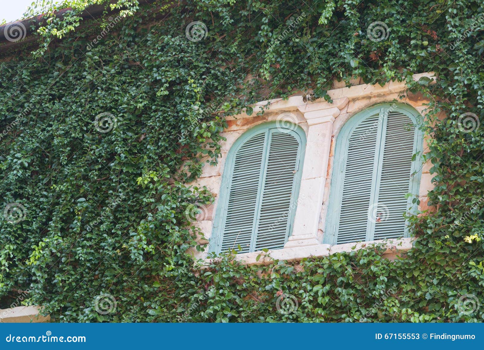 Two Wooden Windows with Trees Stock Image - Image of garden ...