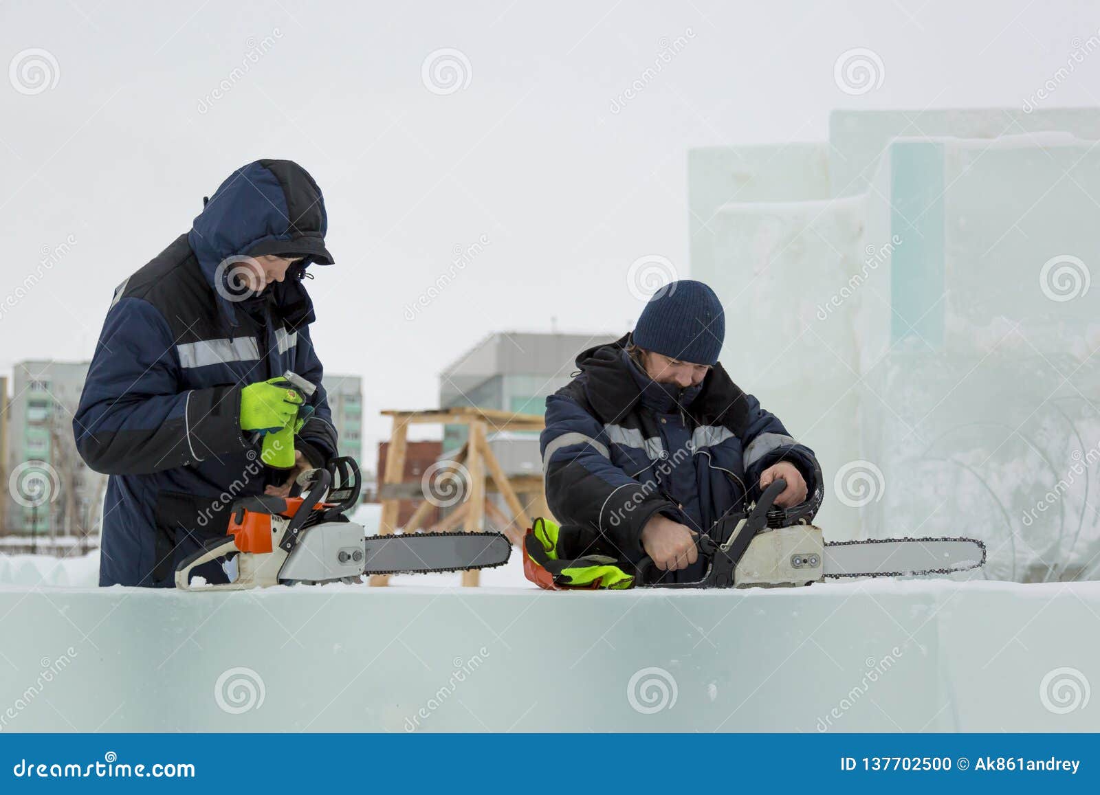 Two Workers Inspect Chainsaws before Starting Work Stock Photo - Image ...
