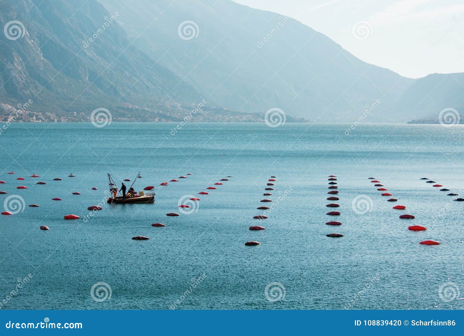 Two Workers of Mussel and Fish Farm Stock Photo - Image of adriatic ...
