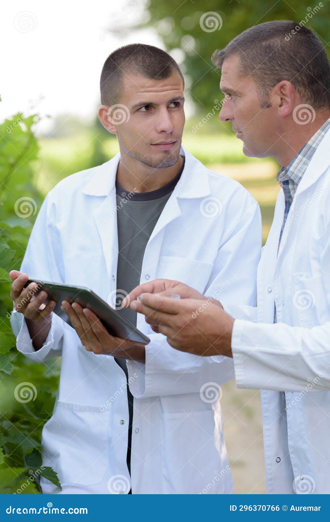 Two Workers Outside Laboratory Stock Photo - Image of interns, hospital ...