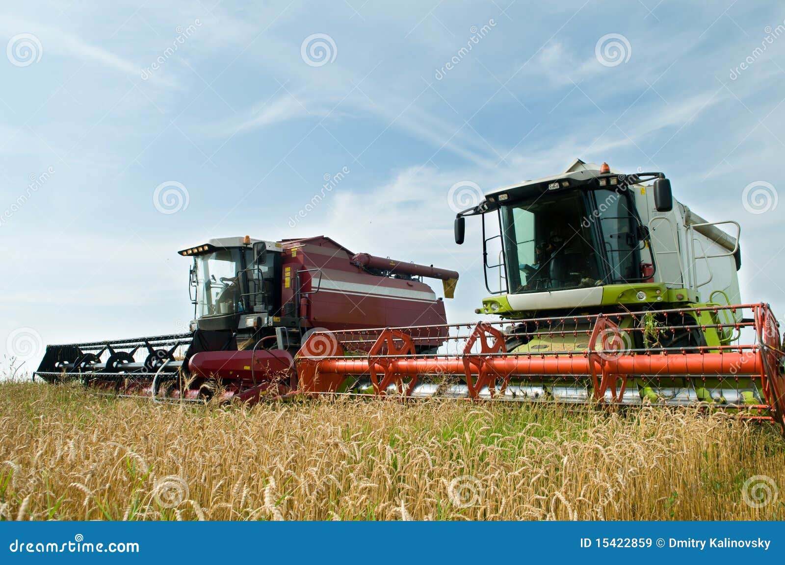 Working Harvesting Combine In The Field Of Wheat Royalty-Free Stock ...