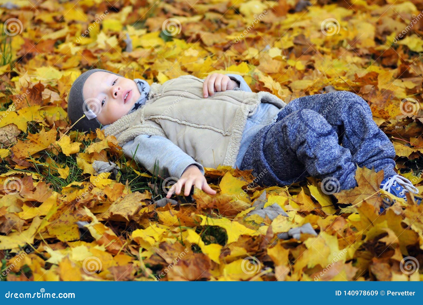 Two Years Old Boy Lies on a Falling Foliage Stock Image - Image of ...
