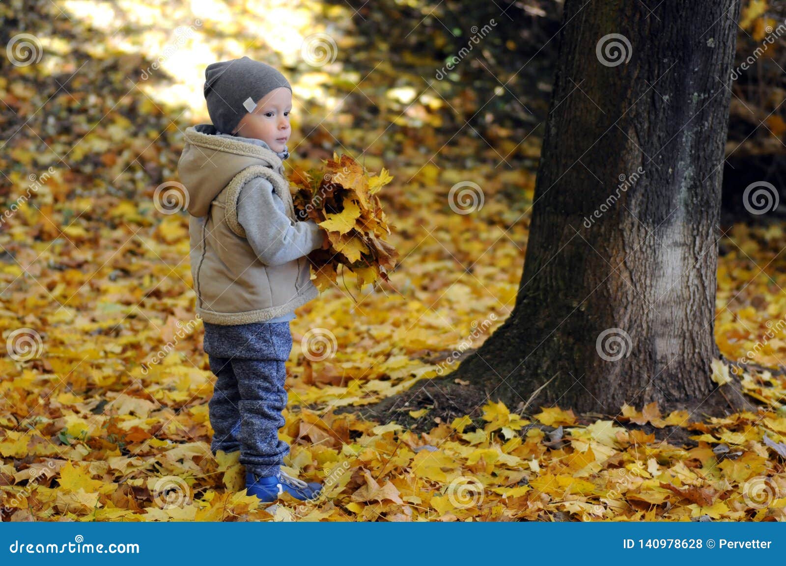 Two Years Old Boy Standing Near Tree Stock Photo - Image of fall, human ...