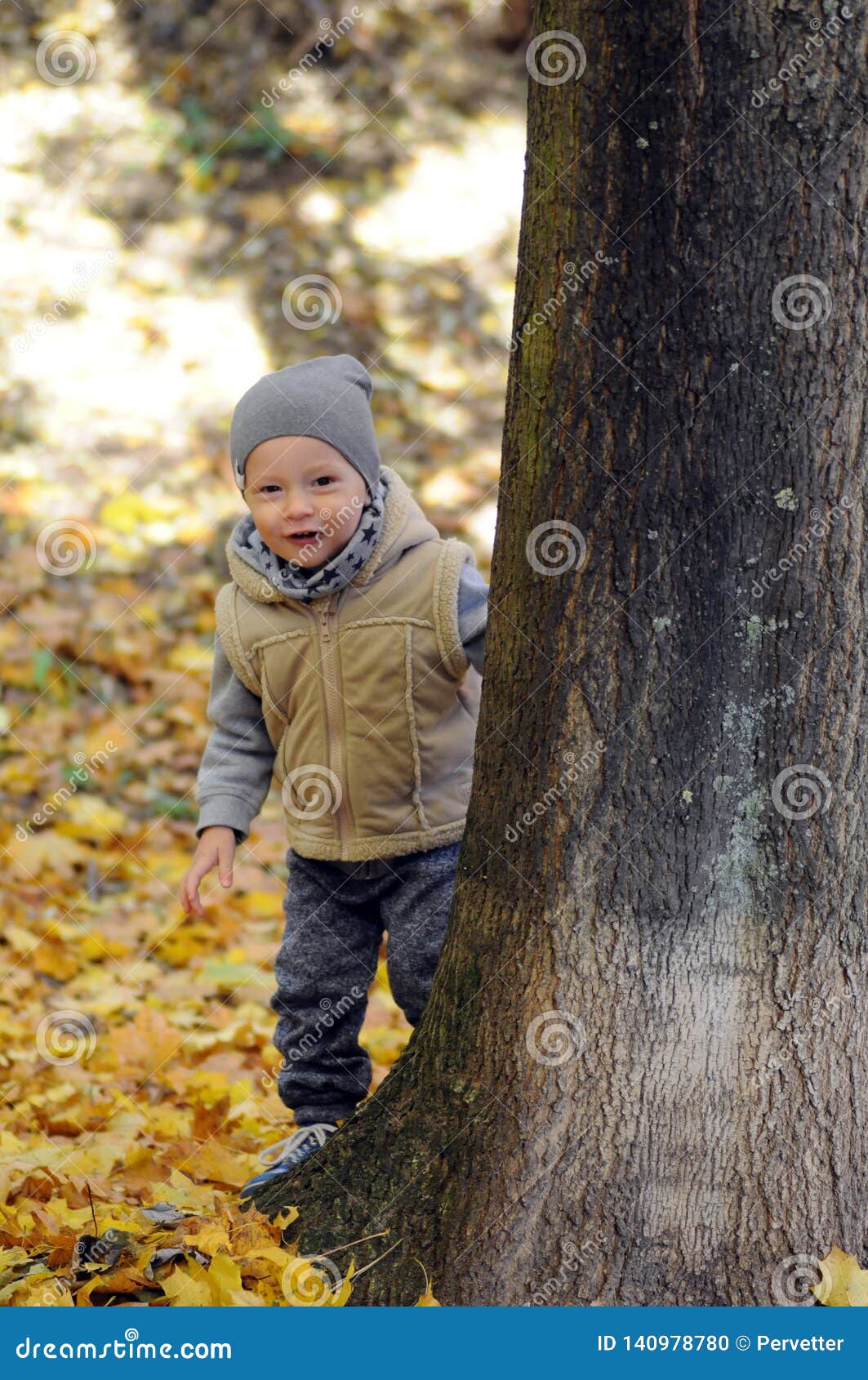 Two Years Old Boy Looks Out Behind a Tree Stock Photo - Image of child ...