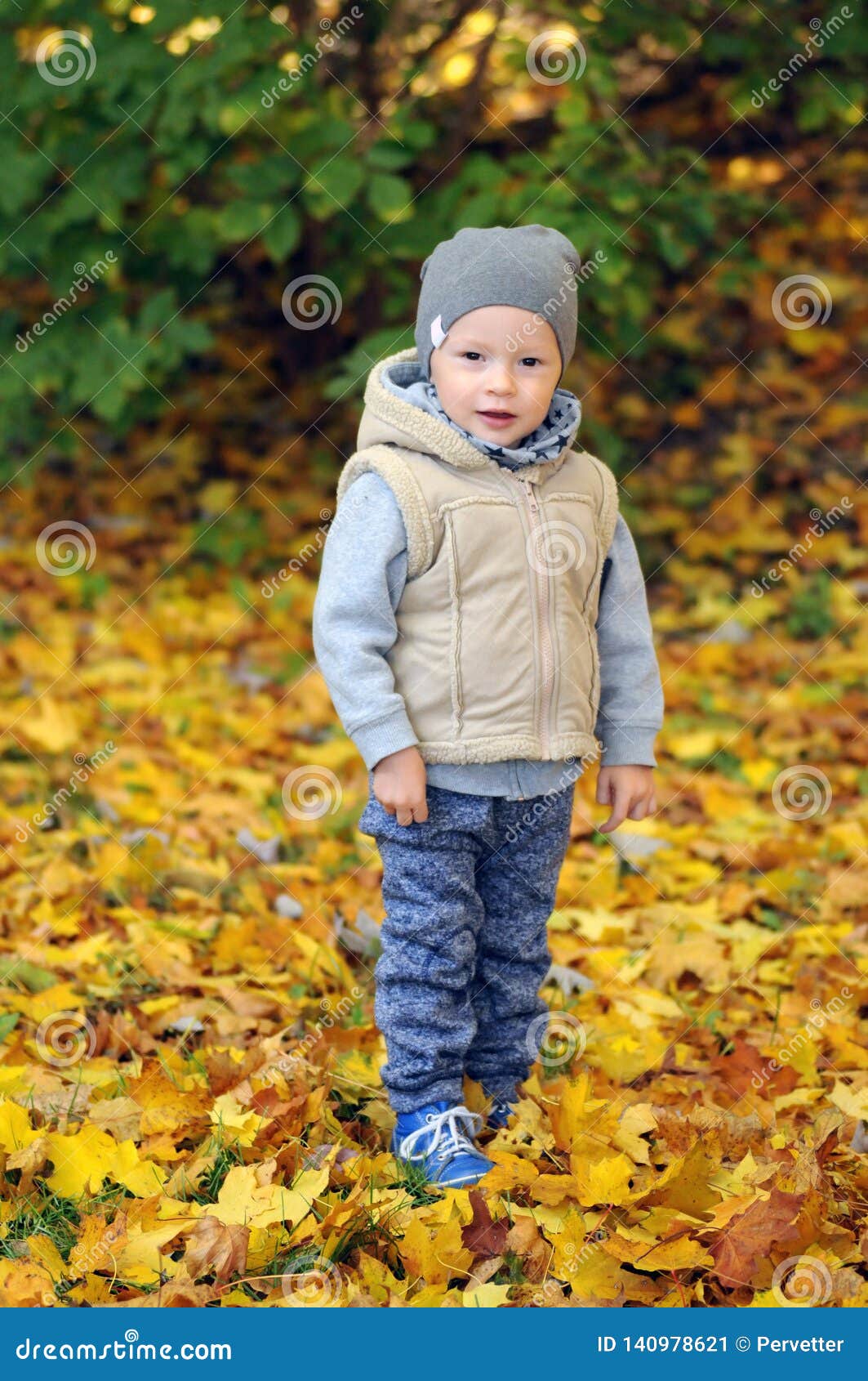 A Little Boy Standing on Falling Autumn Leaves Stock Image - Image of ...