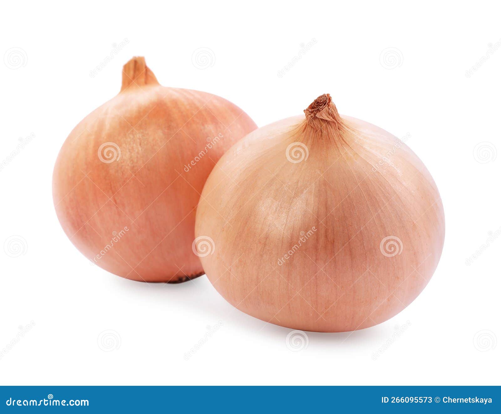 Two Yellow Fresh Onions Isolated on White Stock Image - Image of ...