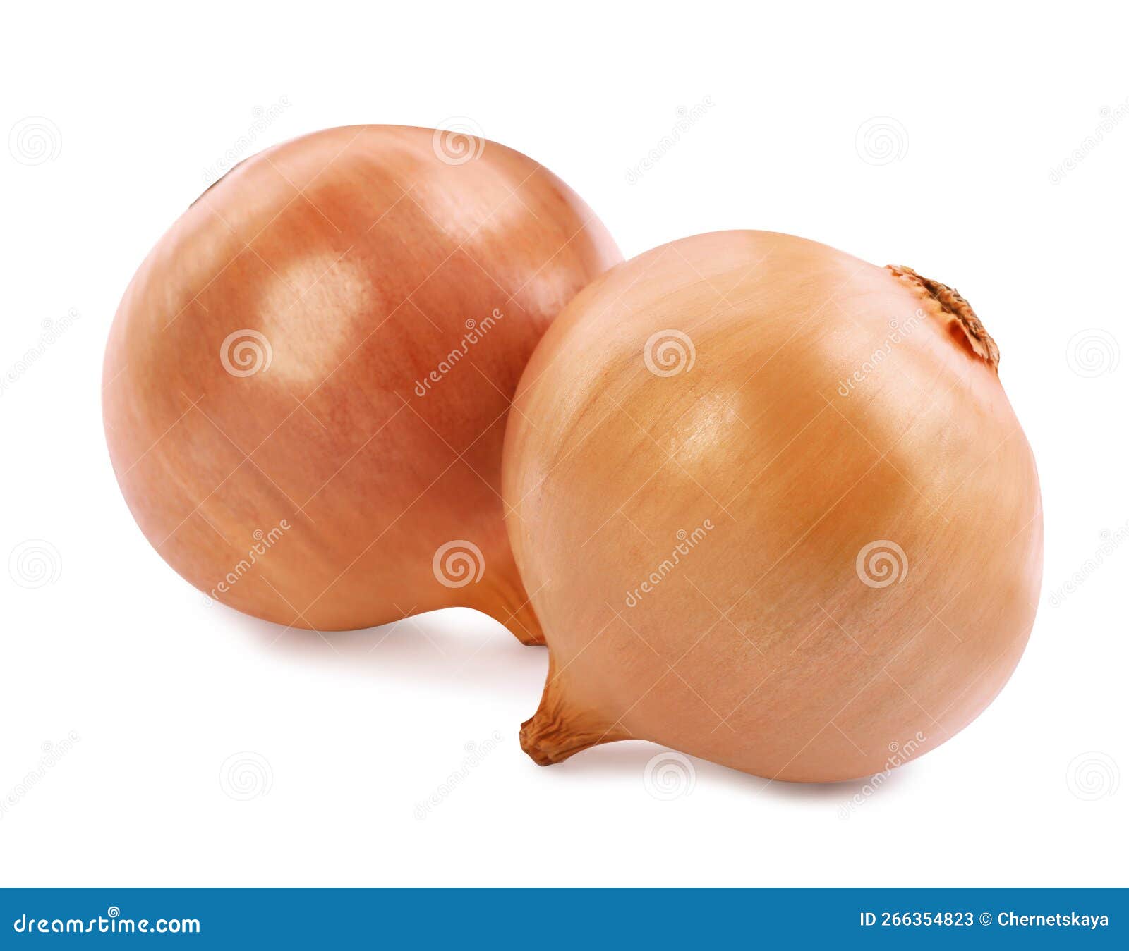 Two Yellow Fresh Onions Isolated on White Stock Image - Image of ...