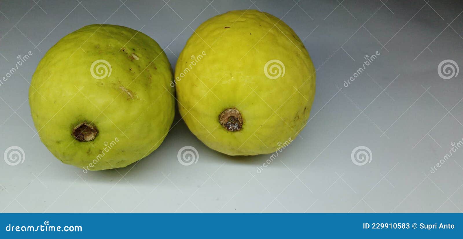 Two Yellow Green Guavas Isolated on a White Background Stock Image ...