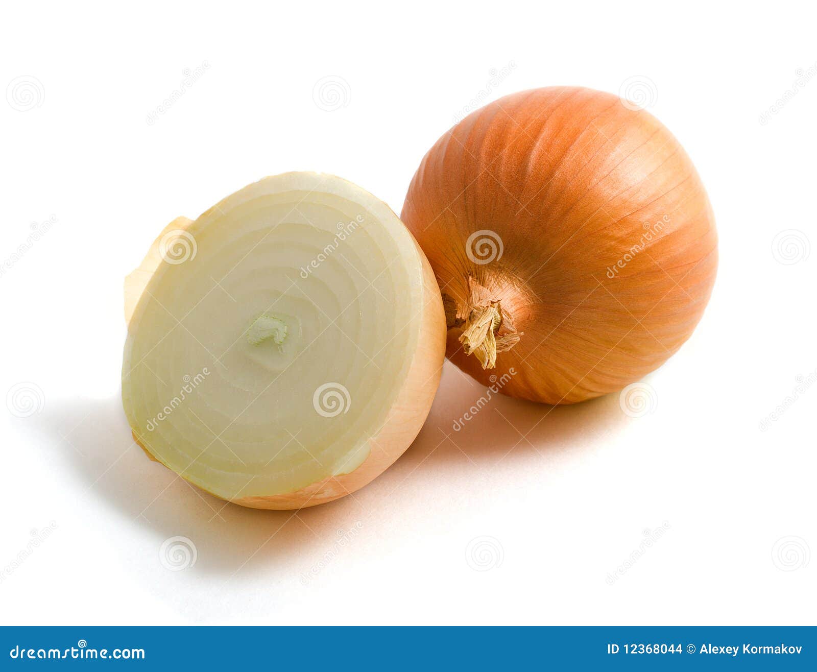 Two yellow onion bulbs stock photo. Image of abstract - 12368044