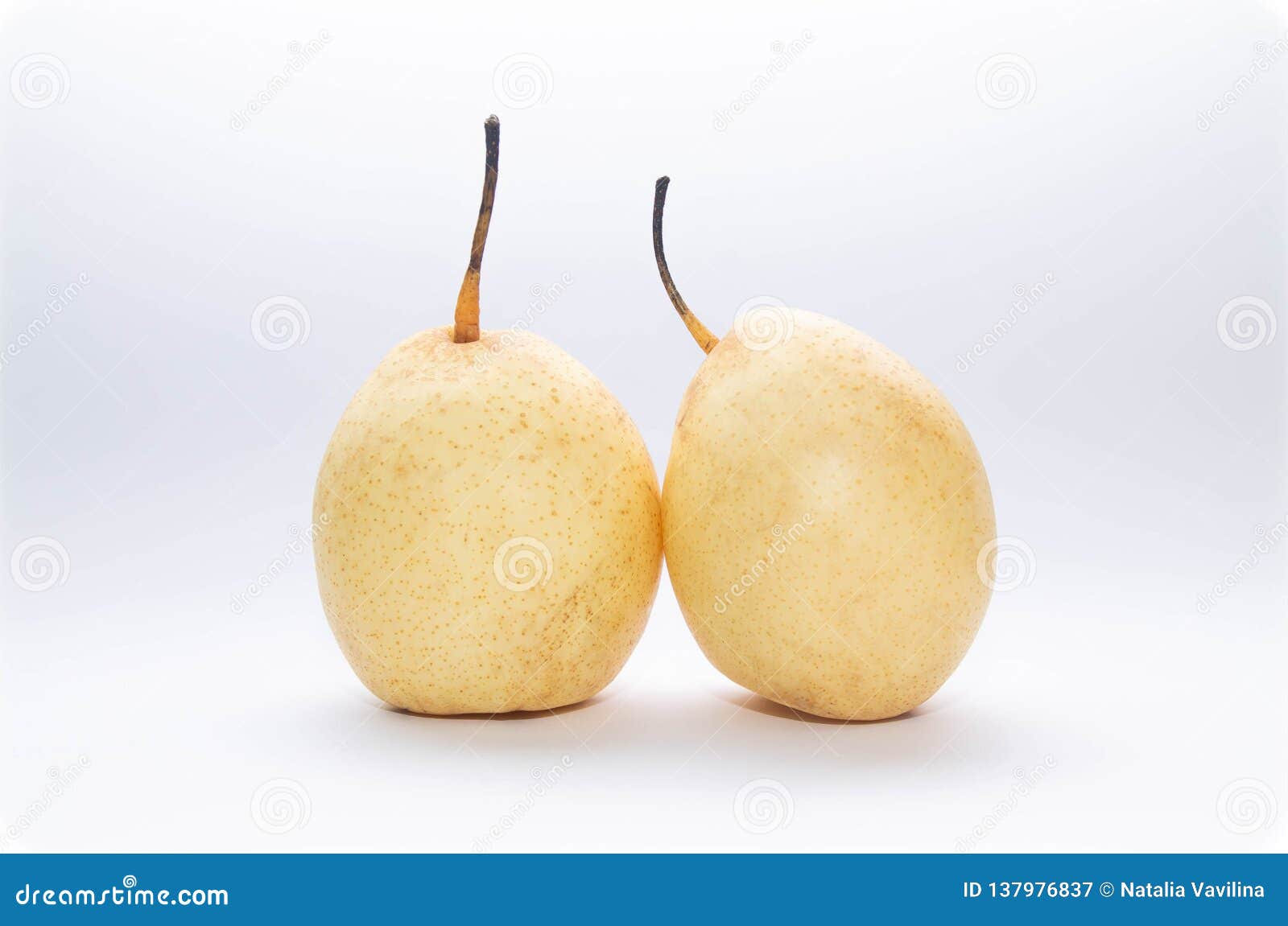 Two Yellow Pears on a Light Blue and White Background Stock Image ...