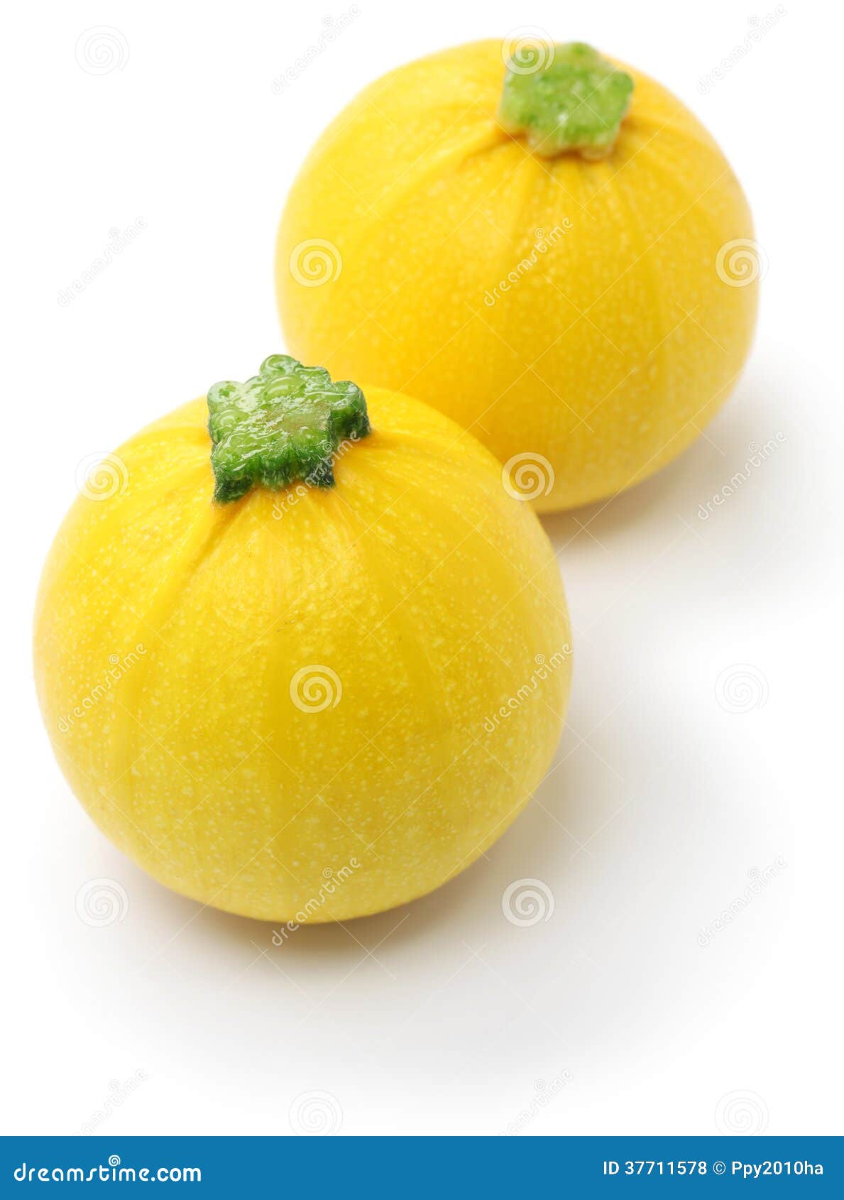 Yellow Round Courgettes Stock Photography | CartoonDealer.com #19946432