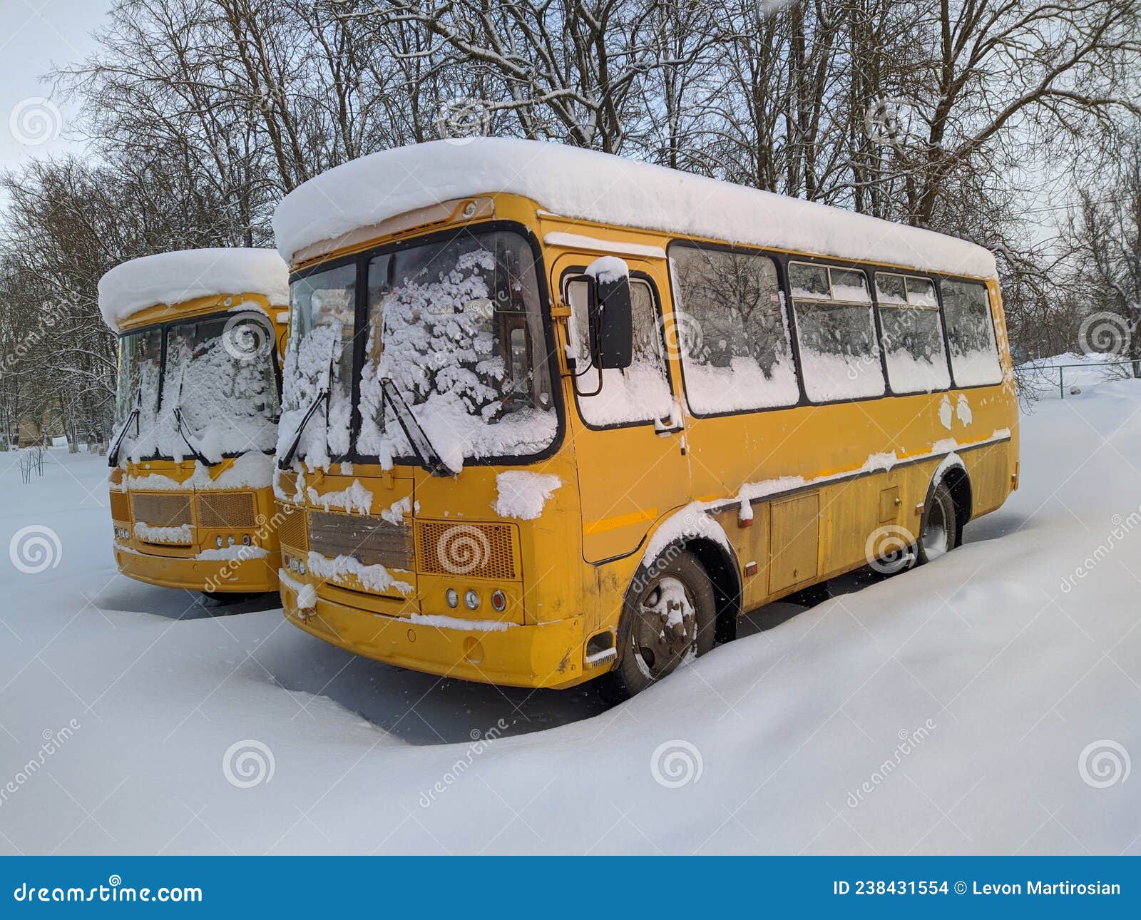 Two Yellow School Buses Covered with Snow in the Daytime. Stock Photo ...