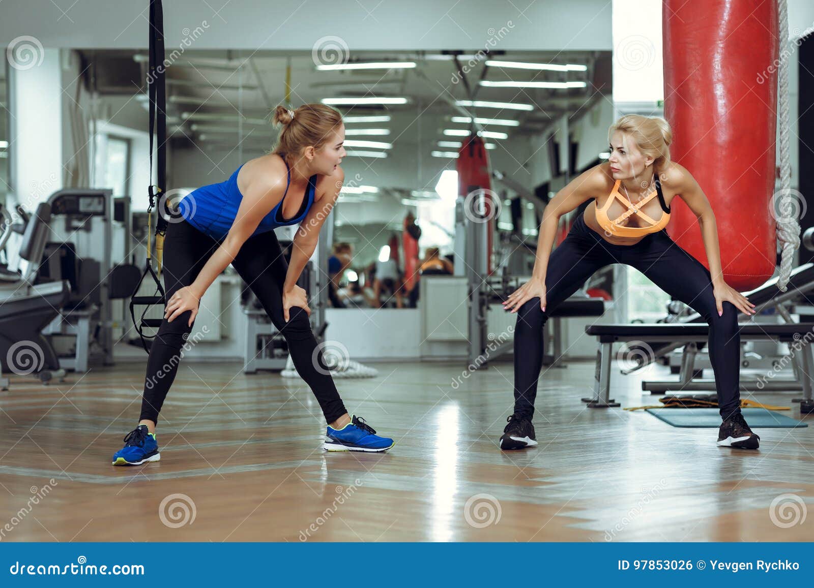 Two Young Athletic Women Train Together in Gym Stock Photo - Image of ...