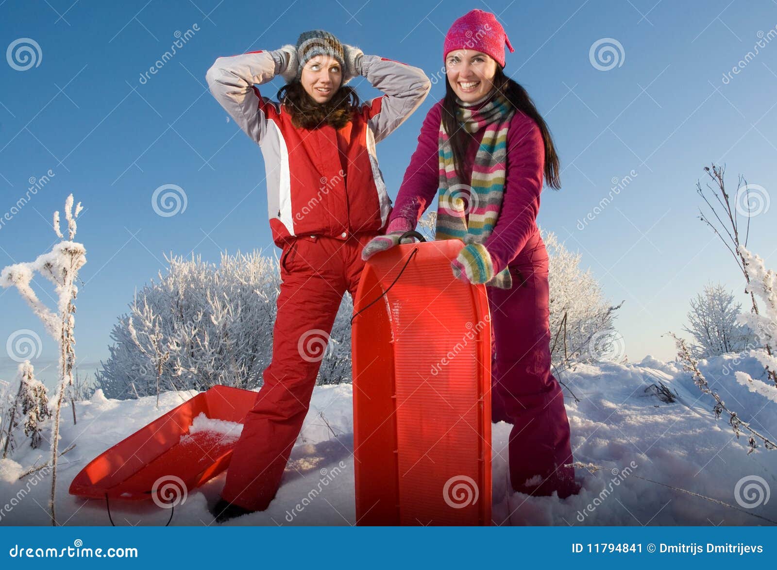 Two Young Beautiful Girls with Sledges Stock Image - Image of lifestyle ...