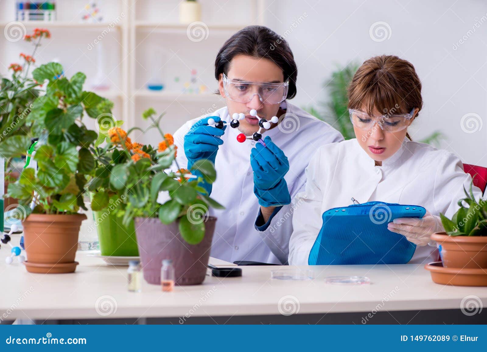 Two Young Botanist Working in the Lab Stock Image - Image of molecular ...