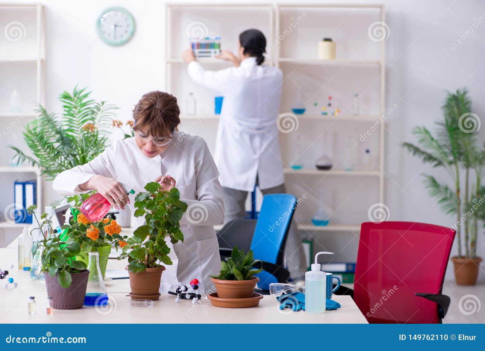 Two Young Botanist Working in the Lab Stock Photo - Image of healthcare ...
