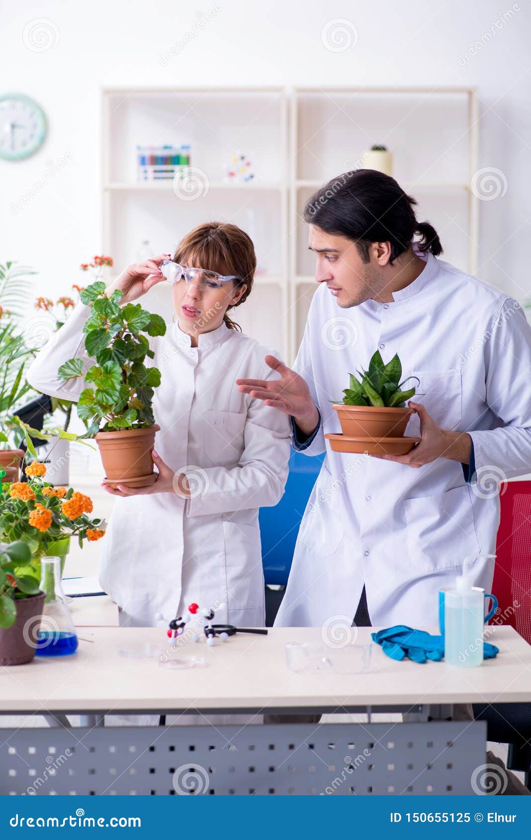 Two Young Botanist Working in the Lab Stock Image - Image of botany ...