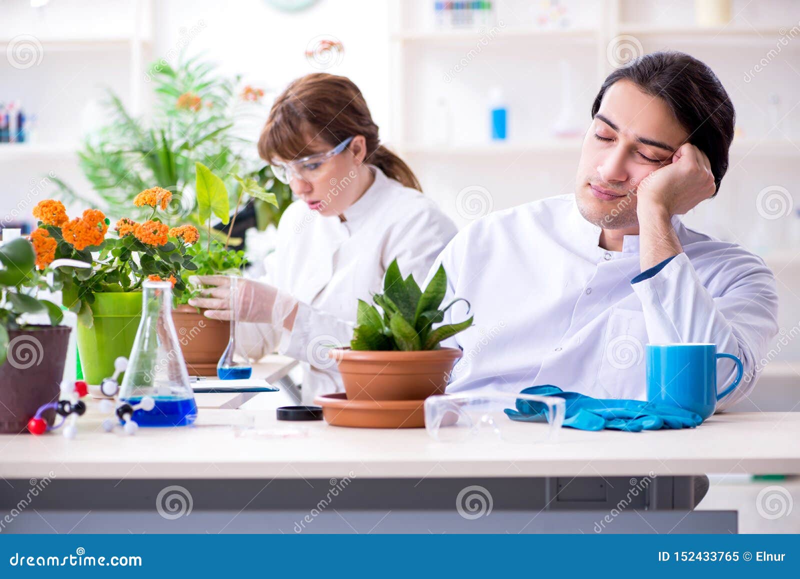 Two Young Botanist Working in the Lab Stock Image - Image of ...