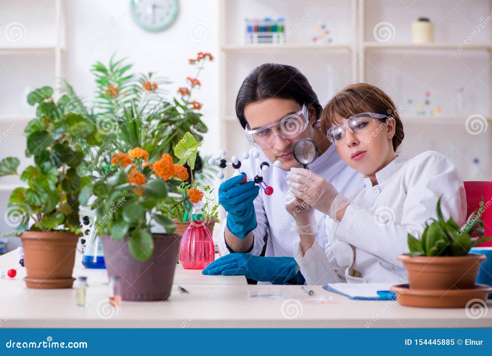 Two Young Botanist Working in the Lab Stock Image - Image of analyzing ...