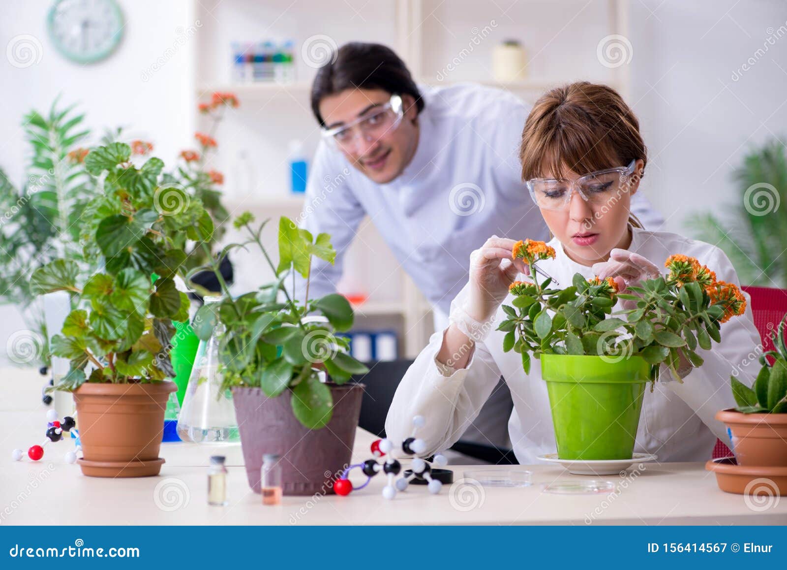 Two Young Botanist Working in the Lab Stock Image - Image of natural ...