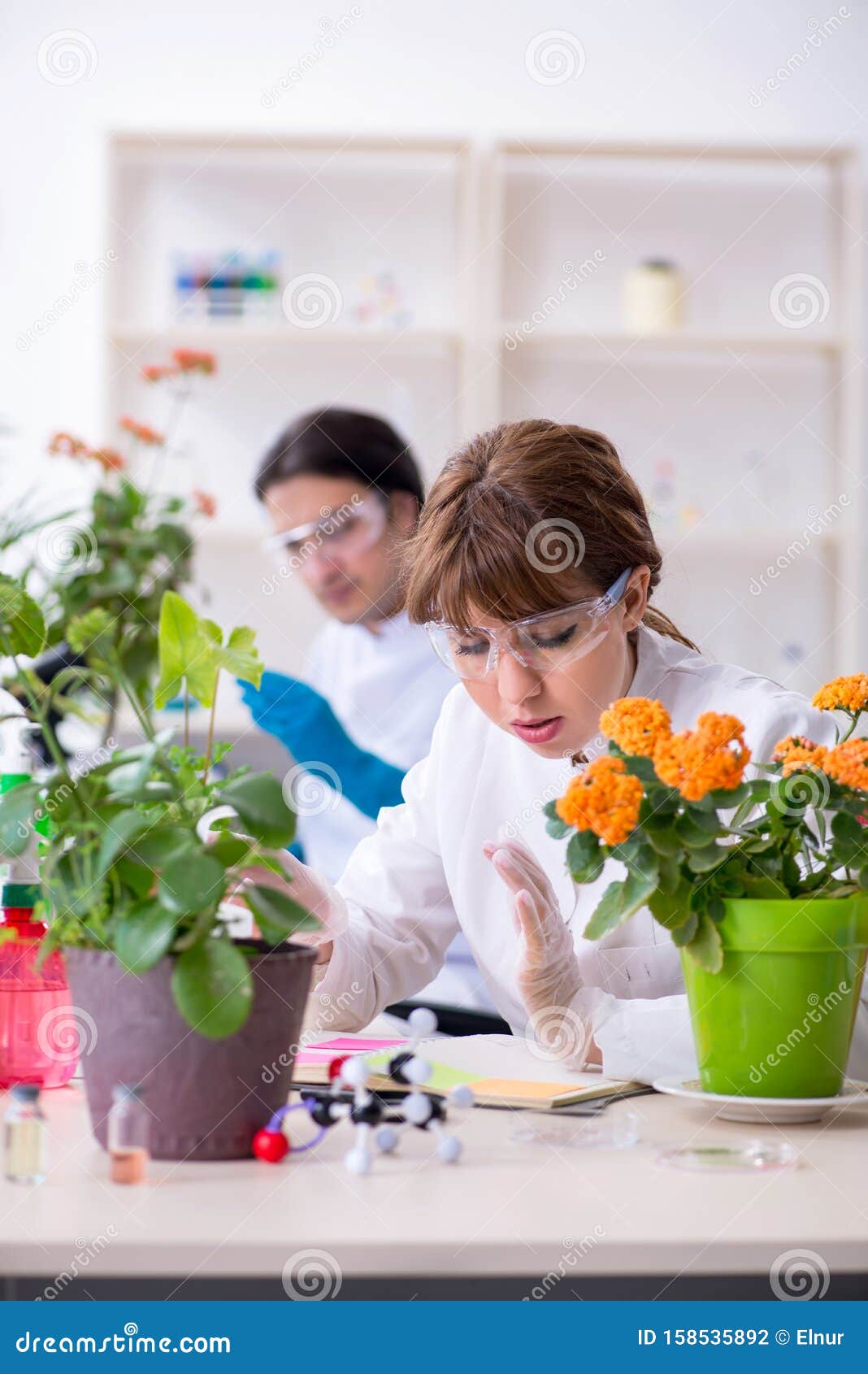 Two Young Botanist Working in the Lab Stock Photo - Image of chemical ...