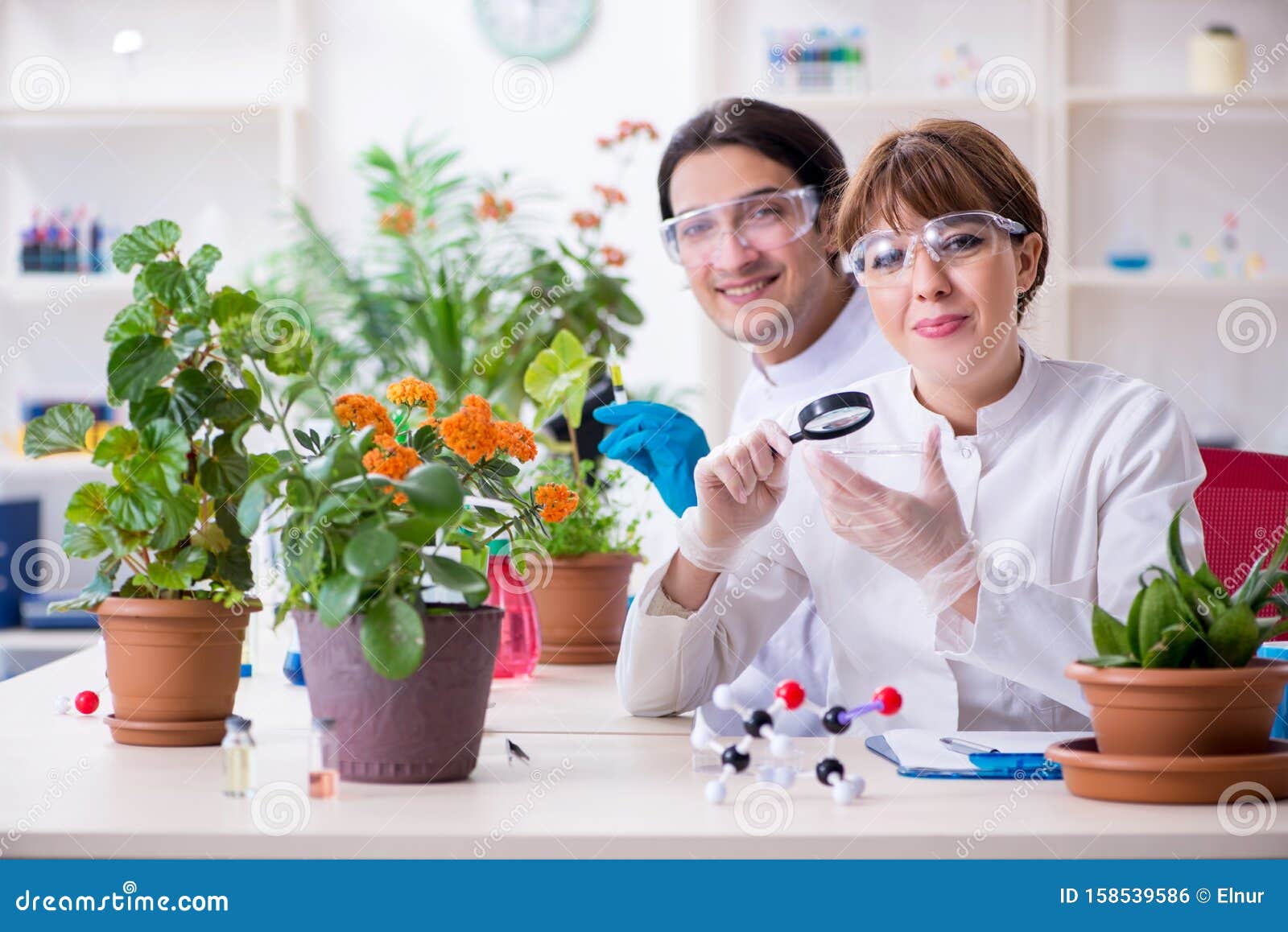 Two Young Botanist Working in the Lab Stock Photo - Image of organic ...