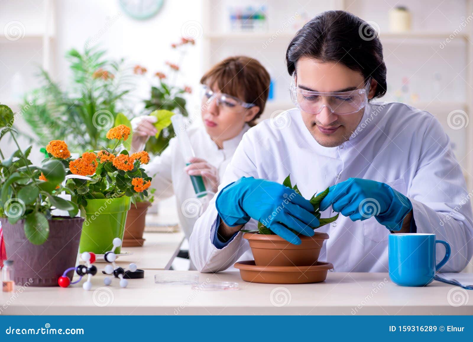 Two Young Botanist Working in the Lab Stock Image - Image of pots ...